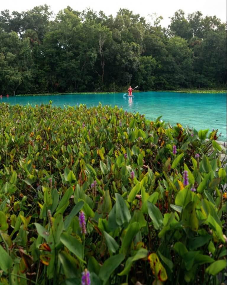 An insider’s Guide to Alexander Springs – Visit Lake – Lake County, FL ...